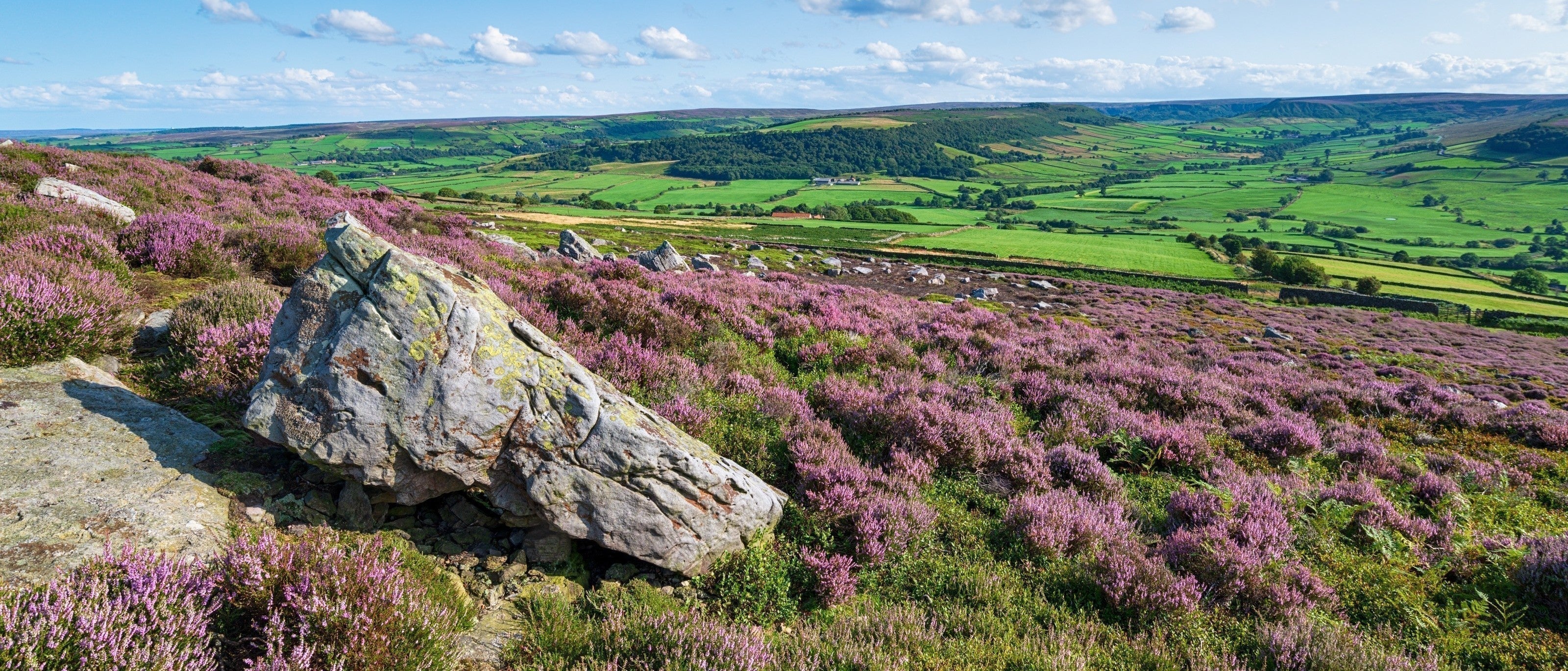 Feldführer: North York Moors - WildBounds